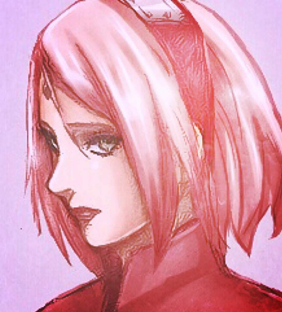 Sakura Hiden Spoilers Anime Amino