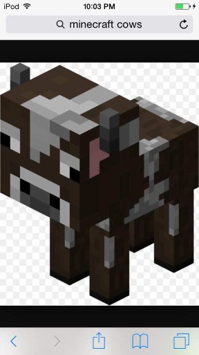 Cow Wiki Minecraft Amino