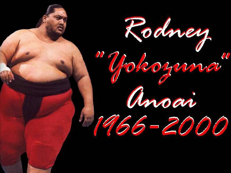 15th Anniversary Of The Death Of Yokozuna Wrestling Amino