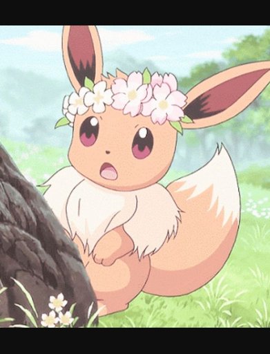 What Would Serenas Eevee Evolve Into Pokémon Amino