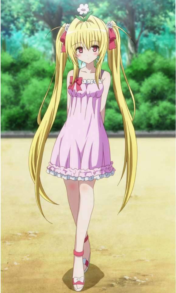 Konjiki No Yami Anime Amino