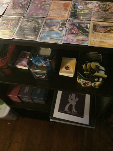 Pokemon Display Shelf Pokémon Amino