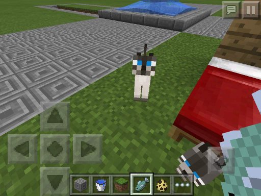 Kittens Minecraft Amino