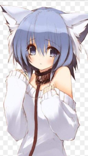 How To Become A Neko Anime Amino