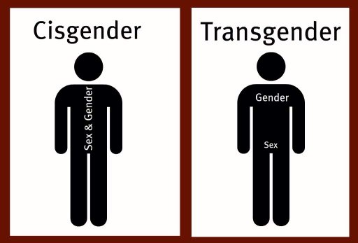 Cisgender Wiki Lgbt Amino
