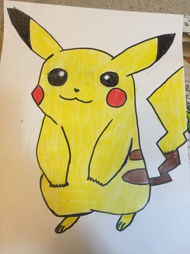 Pikachu Portrait Pok mon Amino