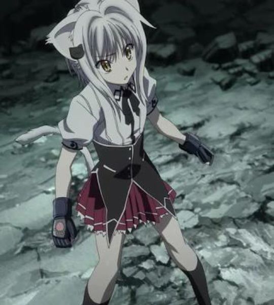 ¿quien Es La Mejor Chica De High School Dxd •anime• Amino