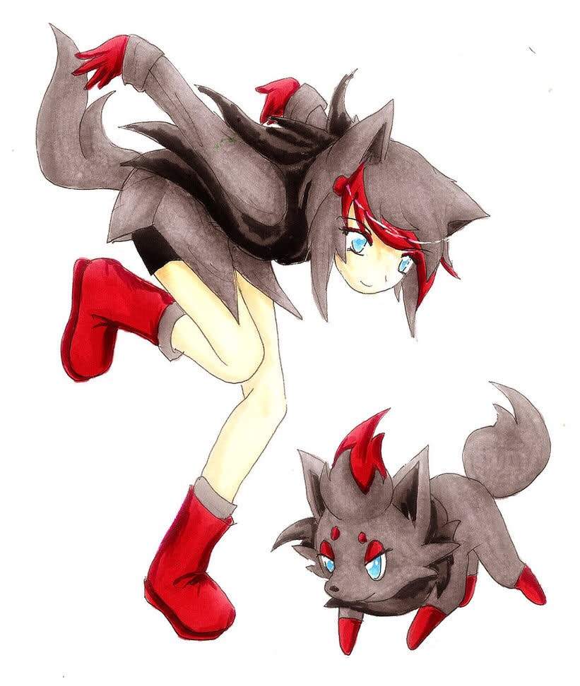 Poke Human Zorua Pokémon Amino