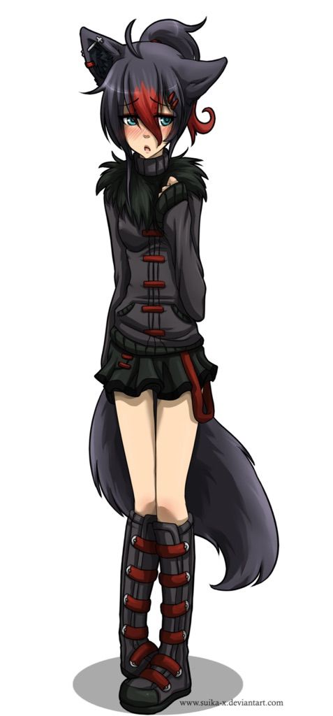 Poke Human Zorua Pokémon Amino