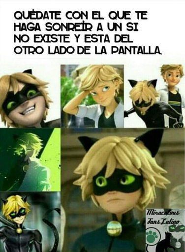 😂😍😂😍😂😍😂 •miraculous Ladybug Español• Amino