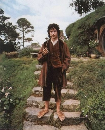 Frodo Baggins Wiki Lotr Amino