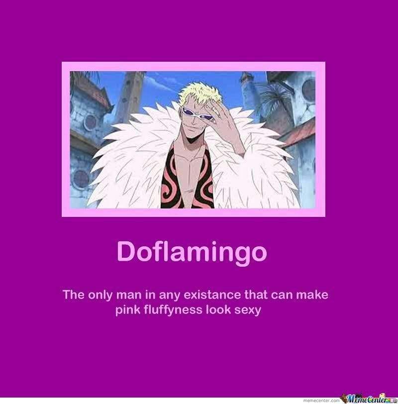 Doflamingo Memes One Piece Amino