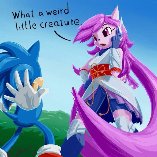 The True Size Comparison Between Sonic And Lilac Sonic The Hedgehog Amino