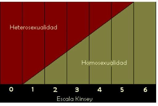 Escala Kinsey 📈 Lgbt ♡ Amino