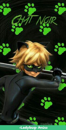 El Sexy Chat Noir Wiki •miraculous Ladybug Español• Amino