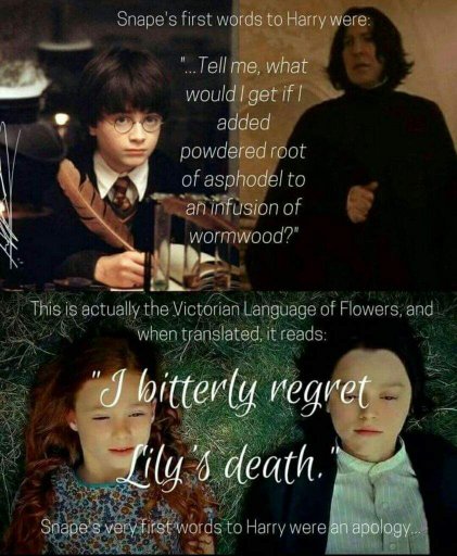 Snape first words to Harry | Harry Potter Amino Snape first words to Harry | Harry Potter Amino