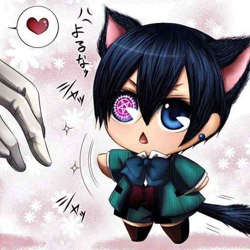 Сиэль | Wiki | Anime Amino