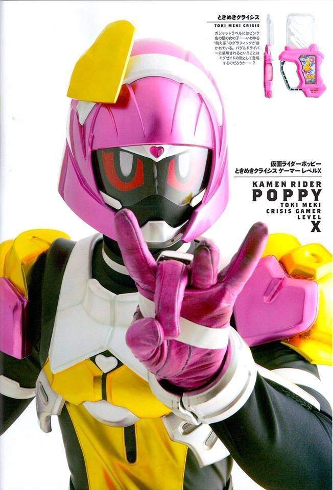Poppy Level X & Para-Dx Level 99 Detail of Heroes | Kamen Rider Amino Amino Poppy Level X & Para-Dx Level 99 Detail of Heroes | Kamen Rider Amino Amino
