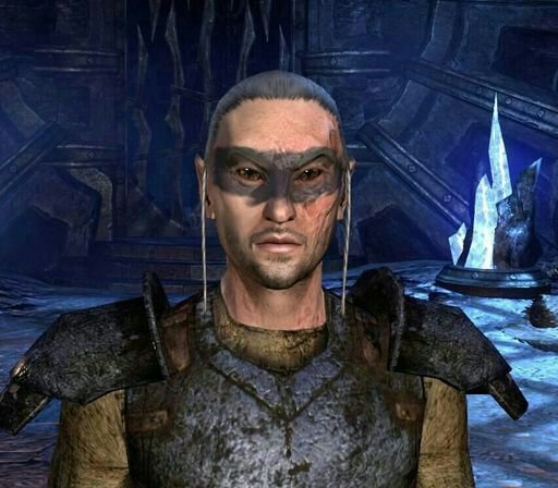Elf Oc Wiki Tamriel Elder Scrolls Amino Amino