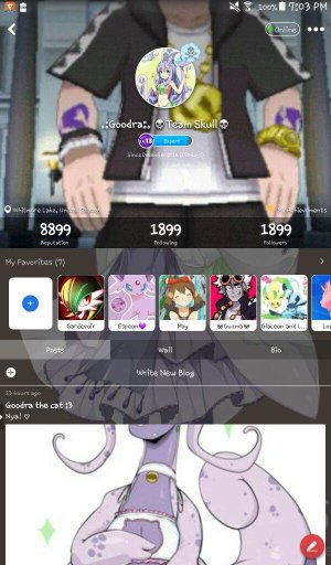 Xd Pokémon Amino