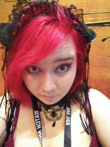 Gothic Kitty Pastel Goth Amino Amino