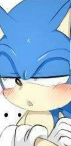 I Made A Song Sonic The Hedgehog Amino