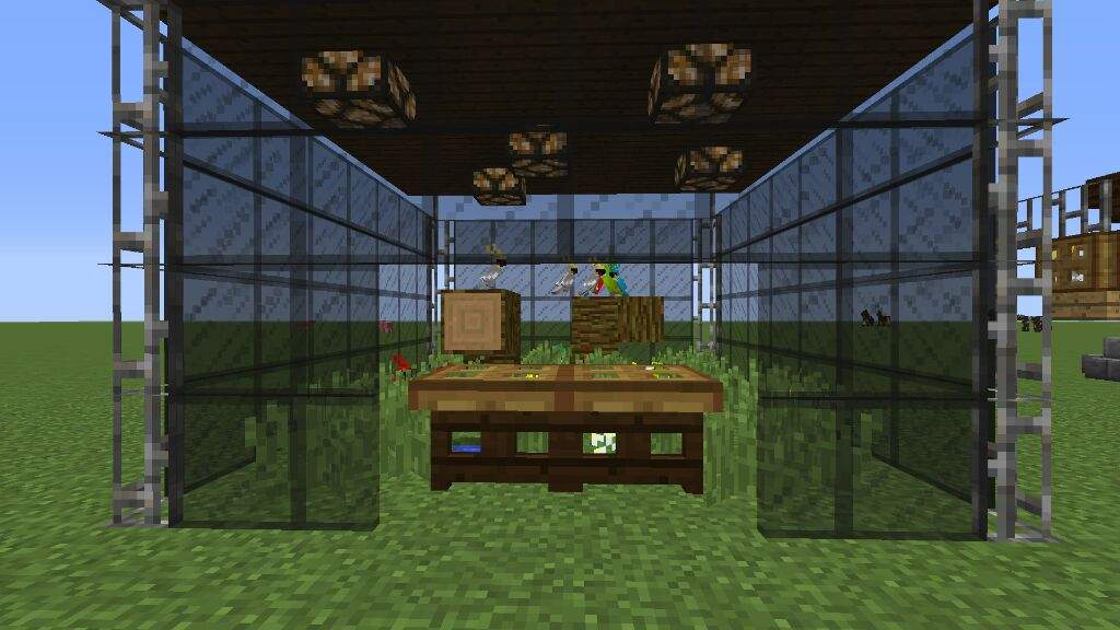 Parrot Cages Ideas Minecraft Amino