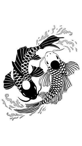 Avatar Oc Template Wiki Avatar Amino