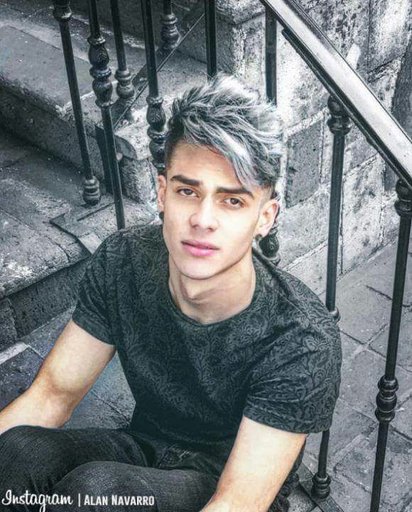15 Cosas Sobre Alan Navarro •cd9• Coders Amino