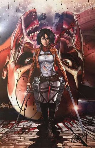 Mikasa | Wiki | Otanix Amino