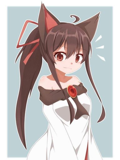 Meow Anime Amino