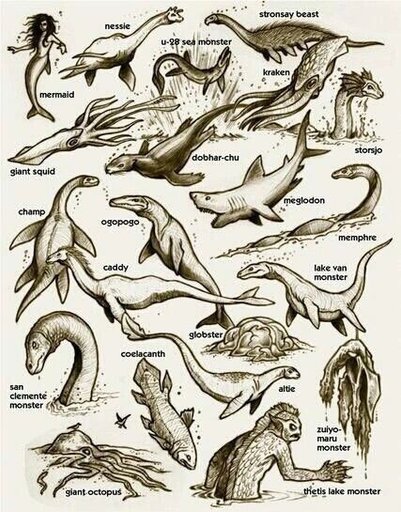 A Few Aquatic Cryptids | Creatures Of The Unknown Amino