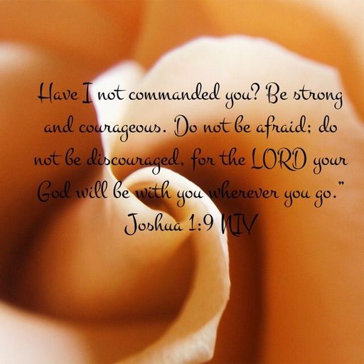 Joshua 1 9 NIV Christian Genesis Amino joshua-1-9-niv-christian-genesis-amino