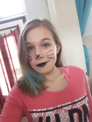 Cat Cosplay Cosplay Amino