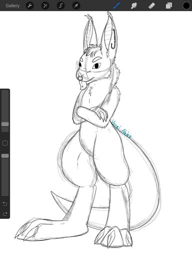 Kangaroo Oc Work In Progress Furry Amino