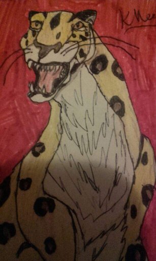 Machweo Wiki Lion Amino Amino machweo-wiki-lion-amino-amino