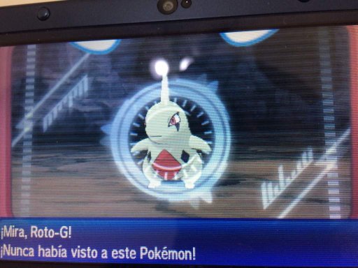 Pokemon Ultra Sol Ultraversion24la Nueva TransformaciÓn De Ditto •pokémon• En Español Amino
