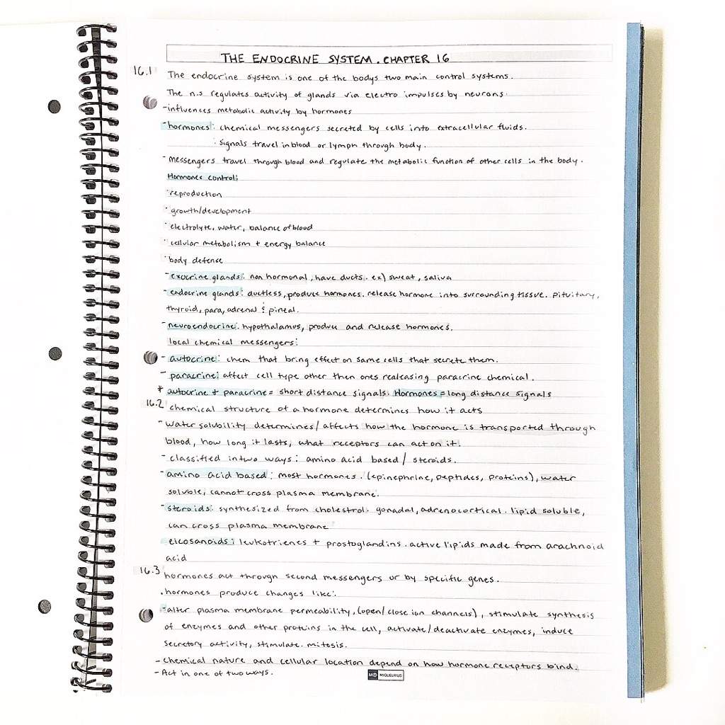 Anatomy And Physiology Notes Studying Amino Amino