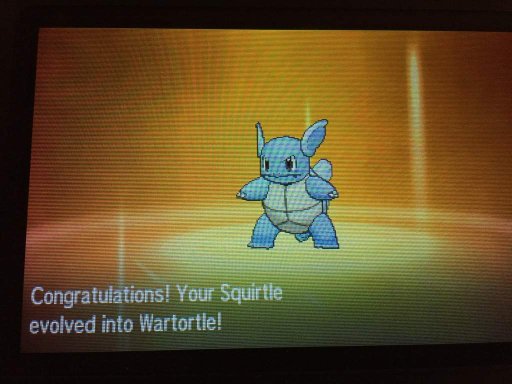 Squirtle evolved too! | Pokémon Let’s Go! Amino Squirtle evolved too! | Pokémon Let’s Go! Amino