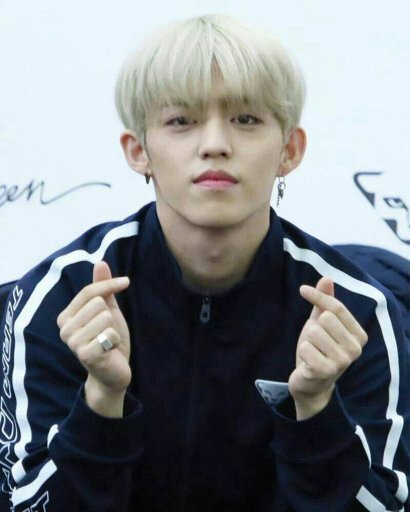 Carat | Wiki | Carat 캐럿 Amino