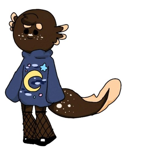 Sir Fluff Fan Oc Sir Fluff Amino