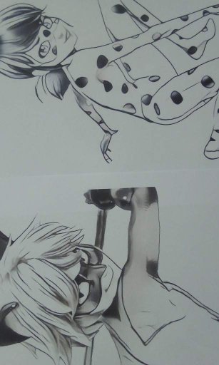 Venez la tenue de chat noir ou Lady bug | Miraculous Ladybug FR 馃悶 Amino Venez la tenue de chat noir ou Lady bug | Miraculous Ladybug FR 馃悶 Amino