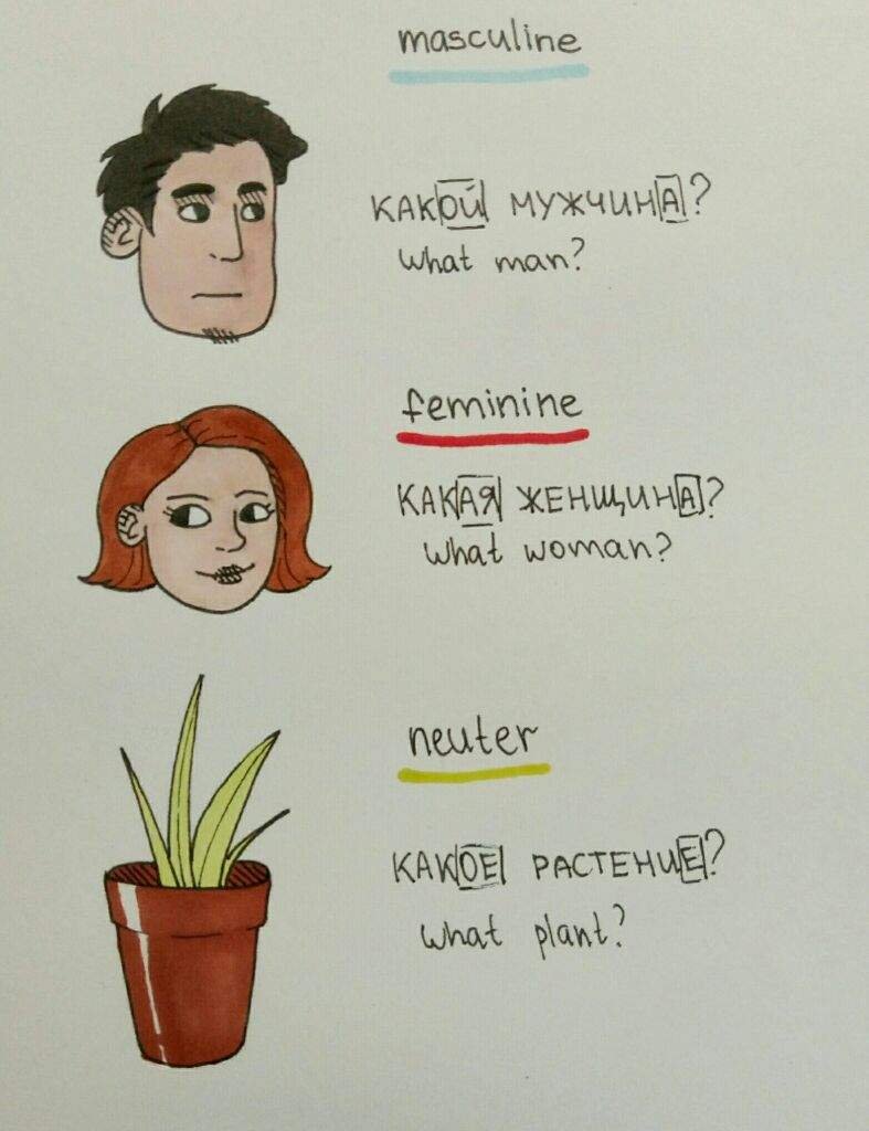 Grammar Gender In Russian Language Exchange Amino