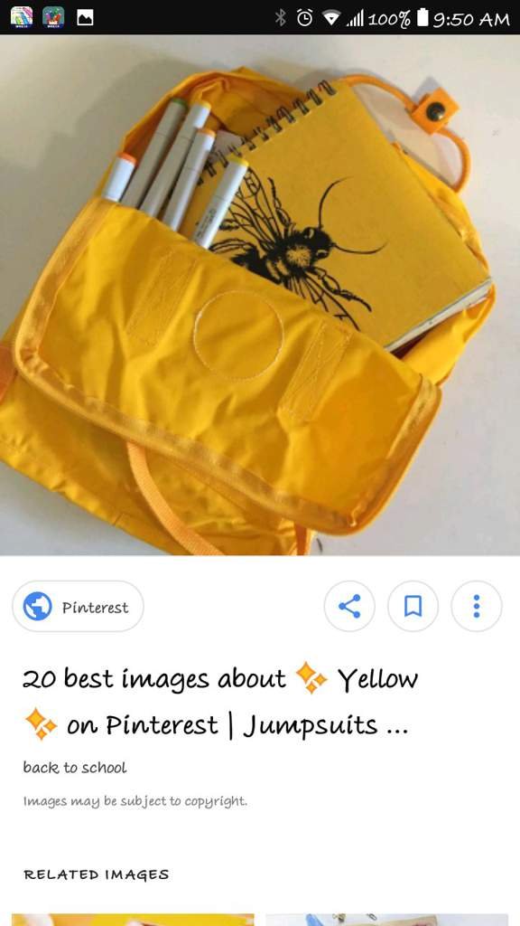 Which Aesthetic Theme For School Supplies Studying Amino Amino