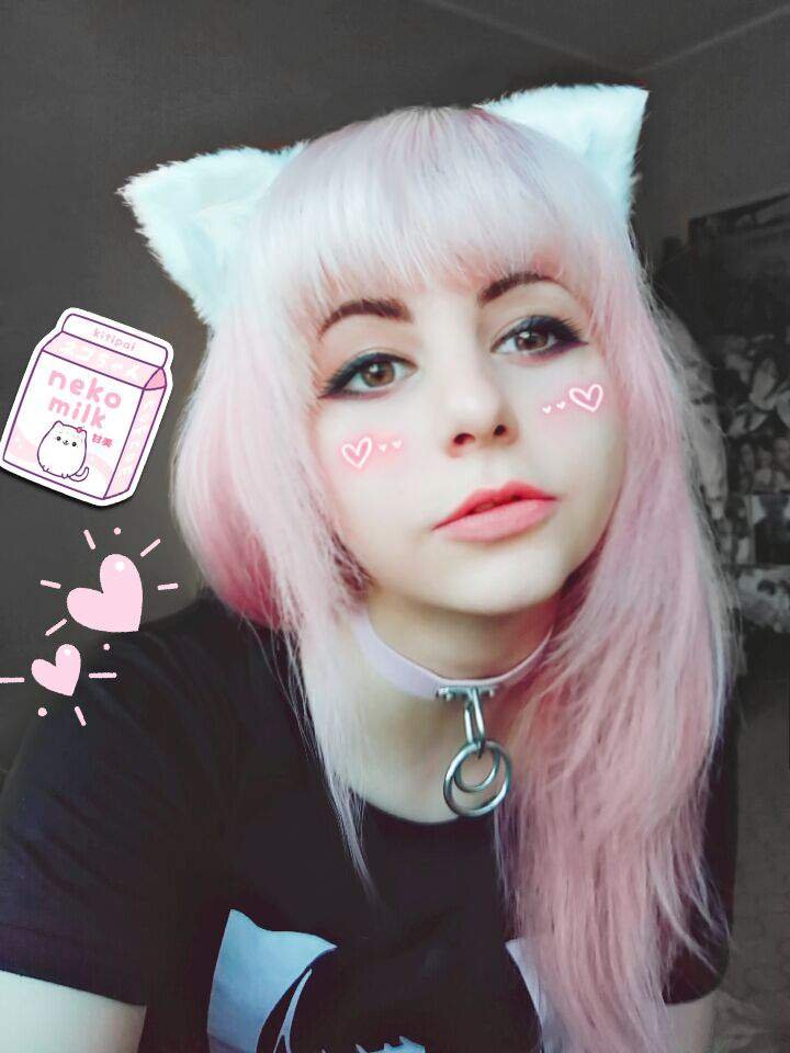 Neko Pastel Kitty Pastel Goth Amino Amino