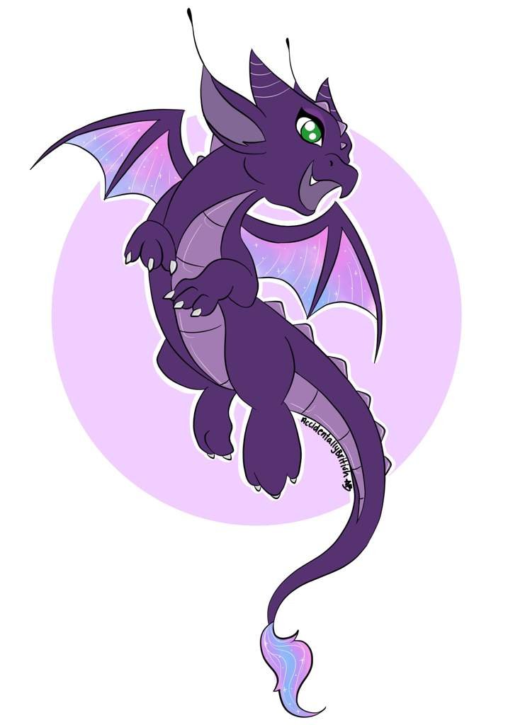 Birthday New Dragon Kwami Miraculous Amino