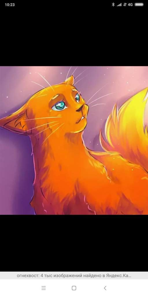 Анкета | Wiki | Коты Воители🐈 Amino
