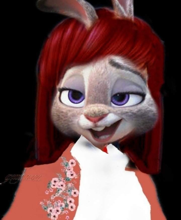 Анкета | Wiki | "Zootopia" (RUS) "Зверополис" Amino