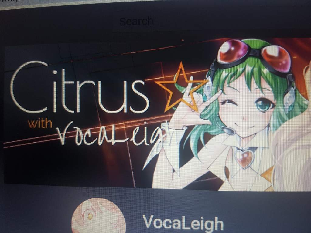 Does A YouTube Banner Make It Official Vocaloid Amino
