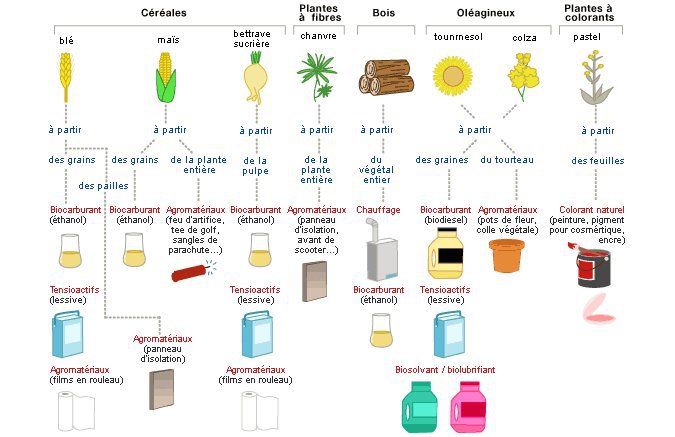 La Chimie Verte Et Ses 12 Principes Le Labo Des Sciences Amino